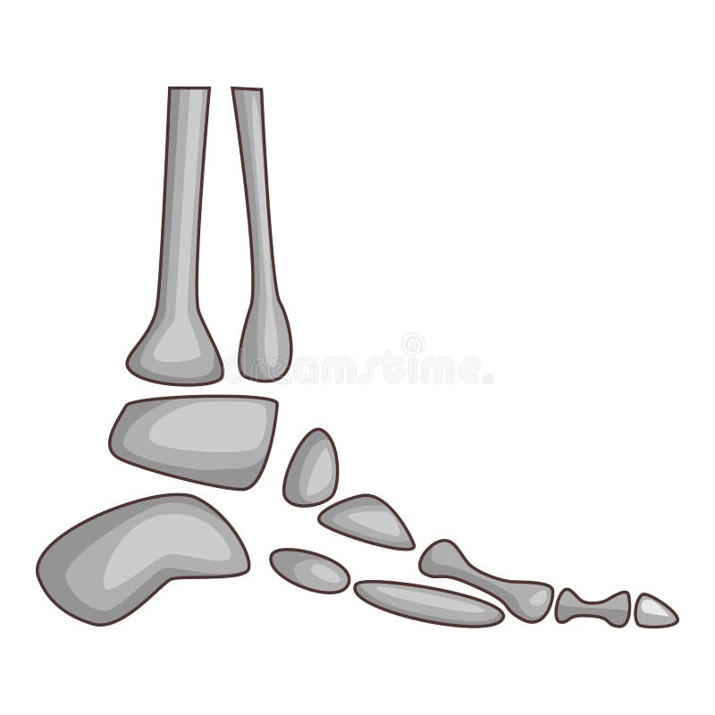 Foot Bones Icon, Cartoon Style Stock Vector - Illustration of bone ...