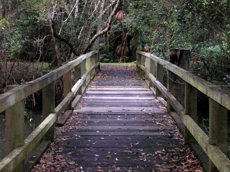 Foot bridge stock photo. Image of bridge, autumn, leaves - 11202144