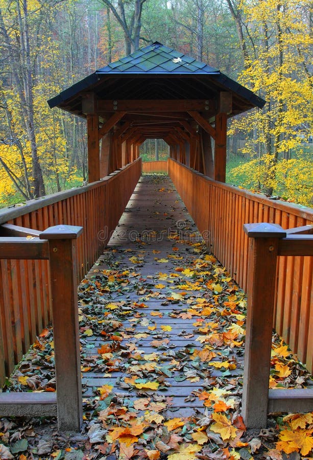 Foot-bridge stock photo. Image of crossover, foot, colour - 23294376