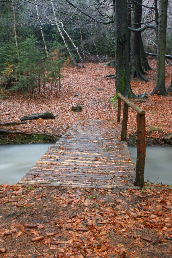 Foot Bridge Picture. Image: 4618240