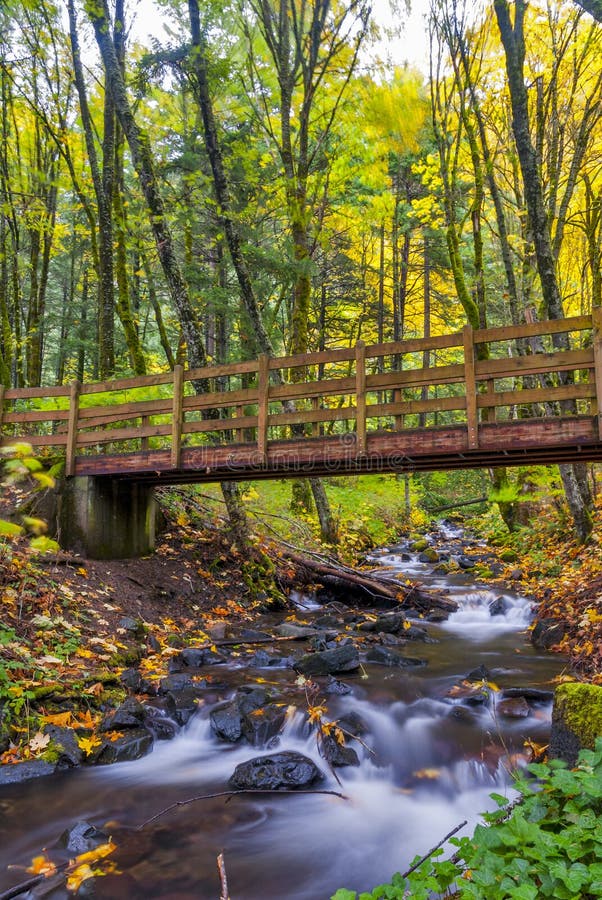 Foot Bridge Cross a Stream in the Forest Stock Photo - Image of fall ...