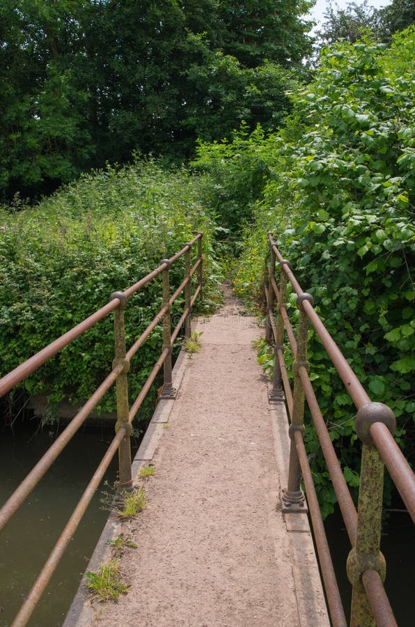 Foot Bridge into Dense Foliage Stock Image - Image of railings ...