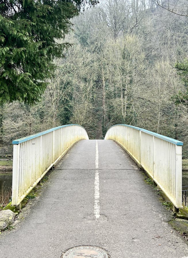 Foot Bridge stock photo. Image of travel, walk, traffic - 310158918