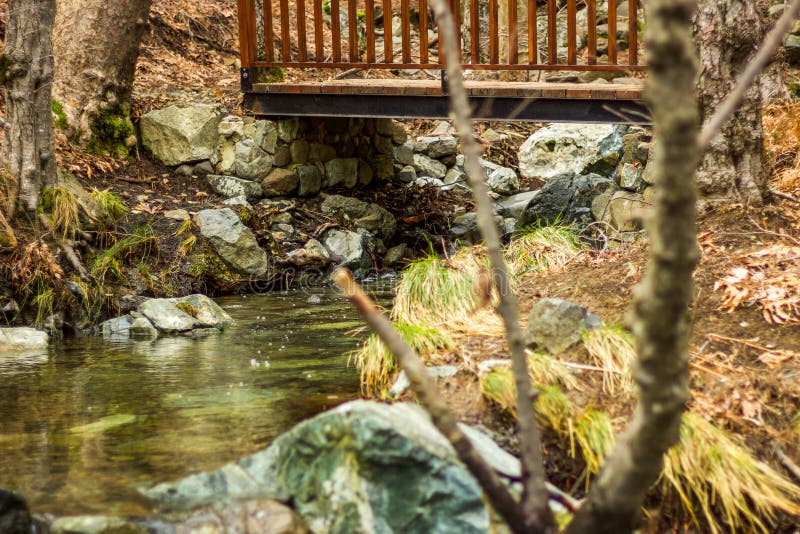 A Modern Wooden Foot Bridge Over Calm Water in the Forest Stock Image ...