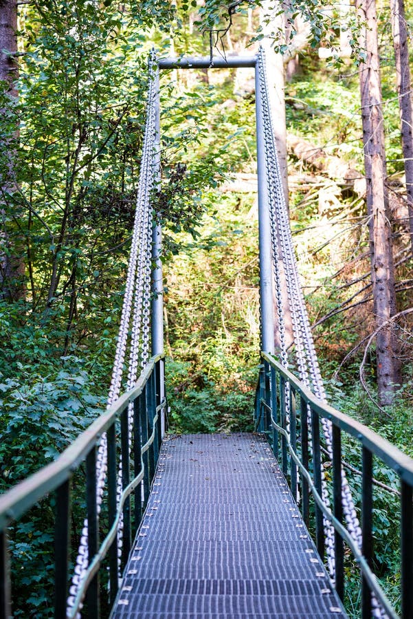 Foot Bridge Over Forest River in Summer Stock Image - Image of wood ...