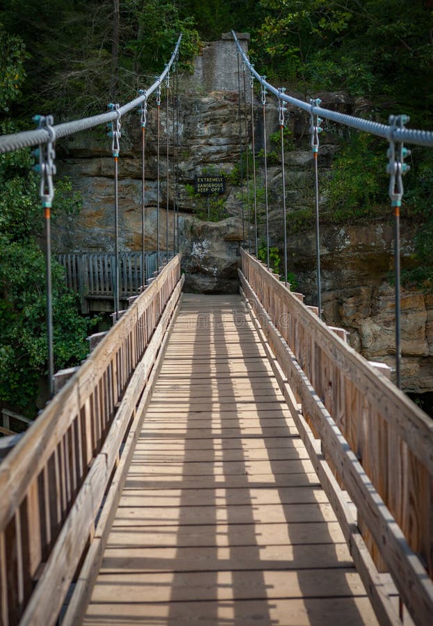 Foot Bridge stock image. Image of natural, harmony, foot - 60418865