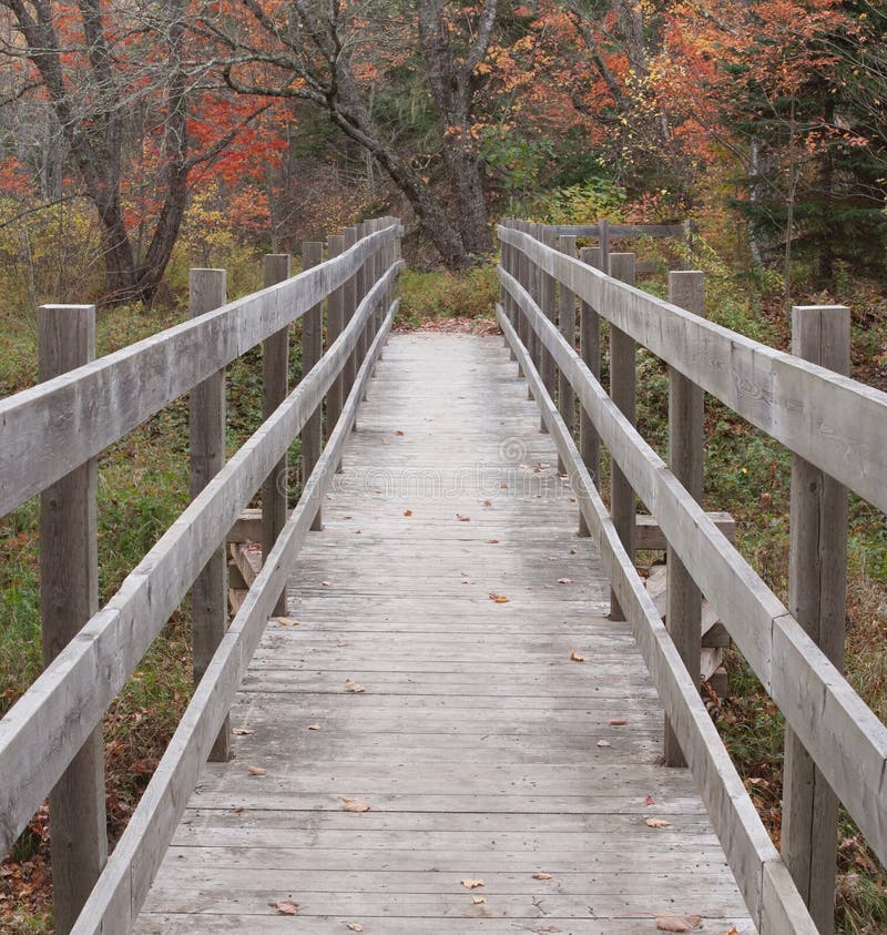 Foot Bridge stock photo. Image of boards, autumn, forest - 45729646