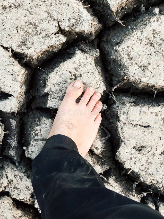 Foot stock image. Image of nature, rough, foot, soil - 55011959