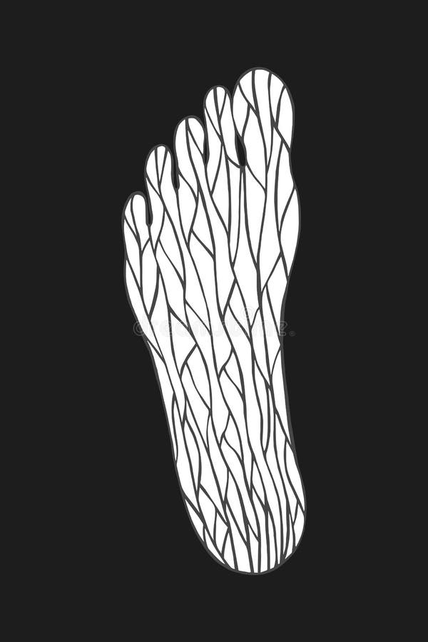 Foot with a Decorative Pattern. Eps 10 Vector Illustration. Hand ...