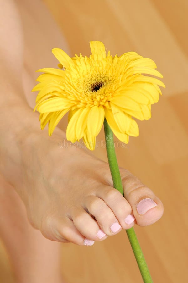 Foot with flower stock image. Image of flower, sole, petals - 1247917