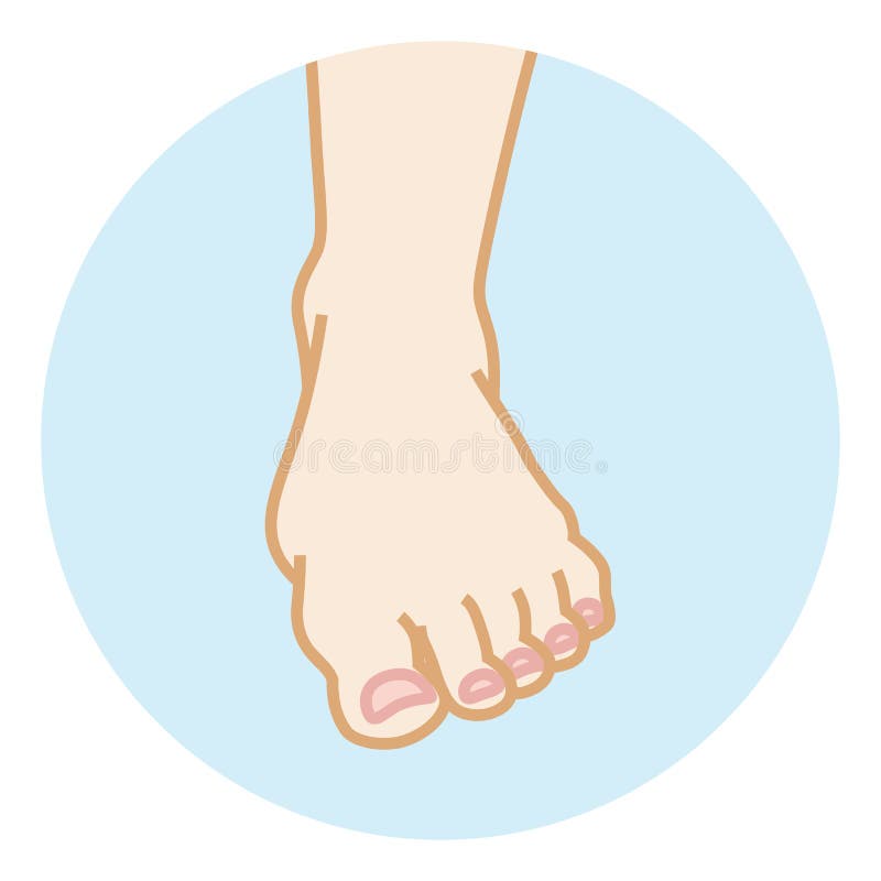 Foot Front View Illustration Stock Vector - Illustration of skin ...