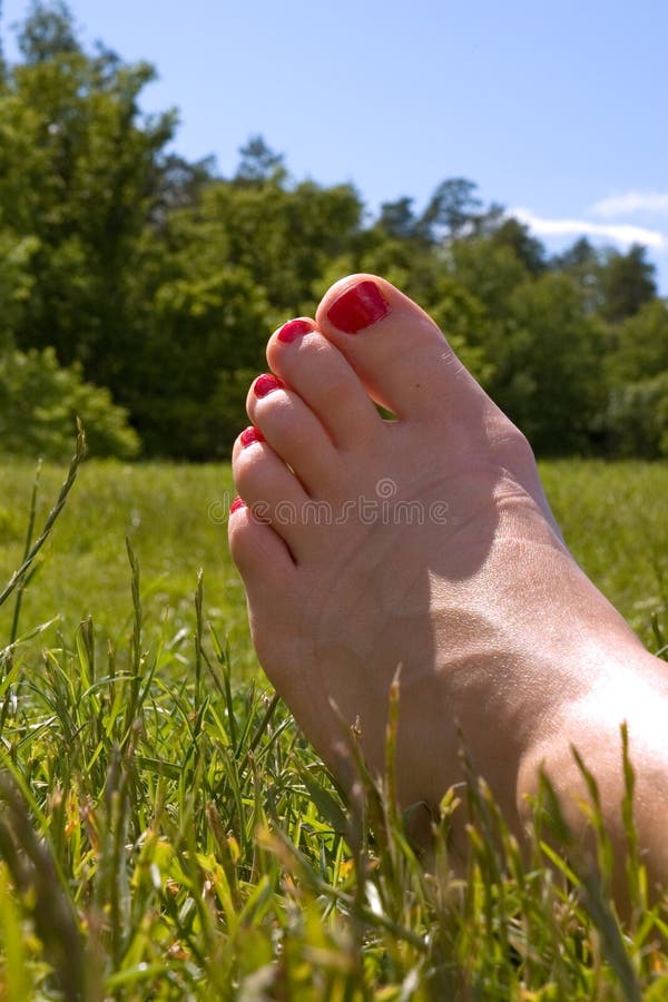 1,707 Toe Toe Grass Stock Photos - Free & Royalty-Free Stock Photos ...