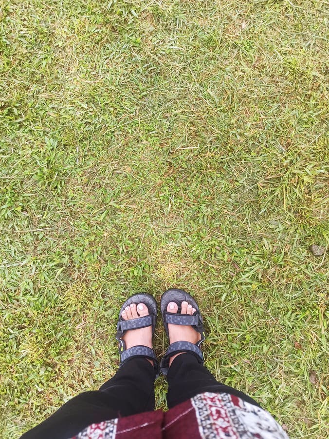 Foot, grass run expedition stock photo. Image of grass - 265971412