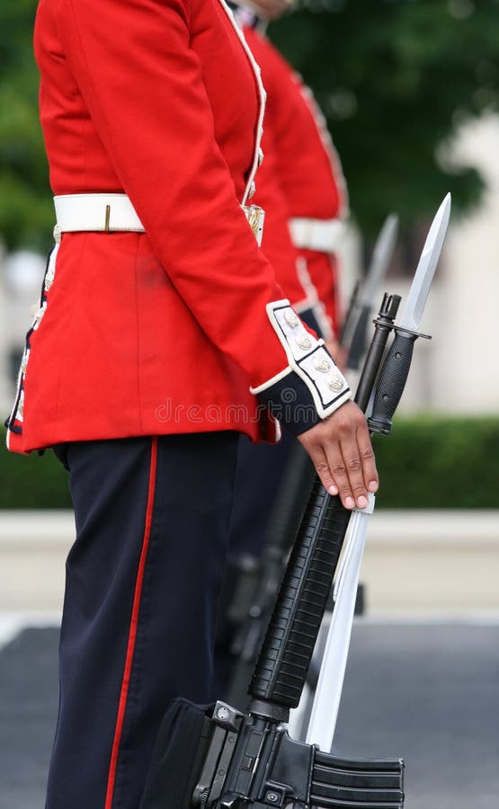 Foot Guards Side View stock image. Image of rifles, tourist - 6986915