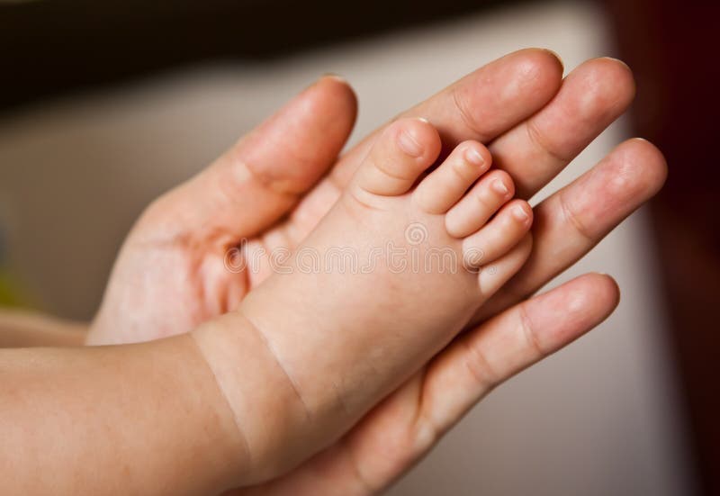 Foot in hand stock photo. Image of left, nail, bright - 17407202