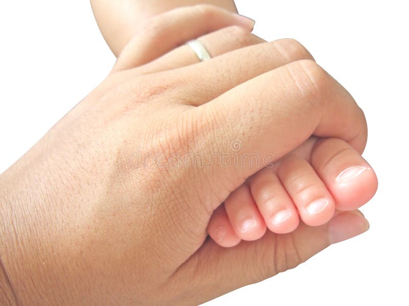 Foot in hand stock photo. Image of hand, background, white - 6829278