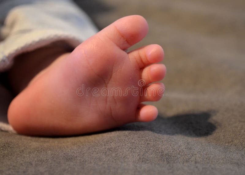 Foot, Hand, Finger, Toe stock image. Image of nail, sole - 133773785