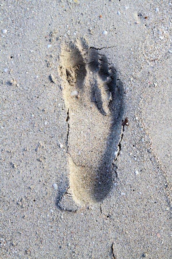 Foot imprint on sand stock photo. Image of sand, copy - 6165836