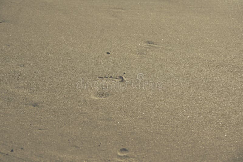 Foot Imprints on a Sandy Beach Stock Image - Image of seaside, nature ...