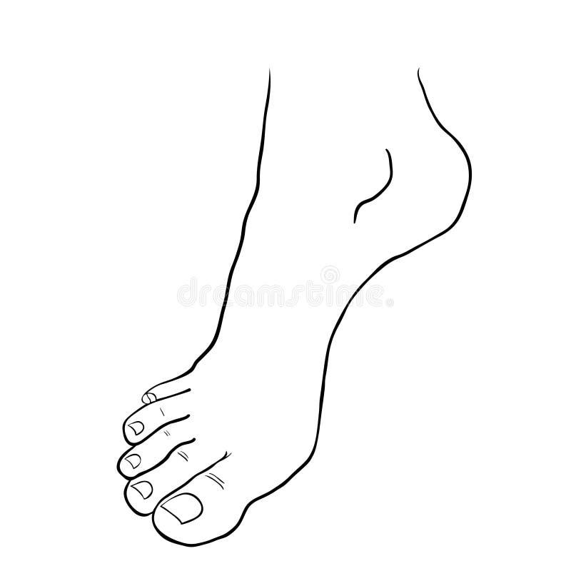 Bottom Of Feet Drawing