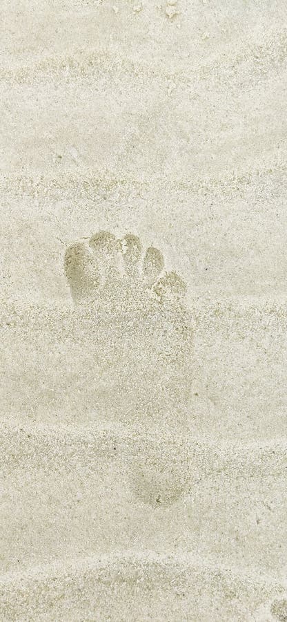 Foot mark in white sand stock image. Image of foot, footprints - 277388207