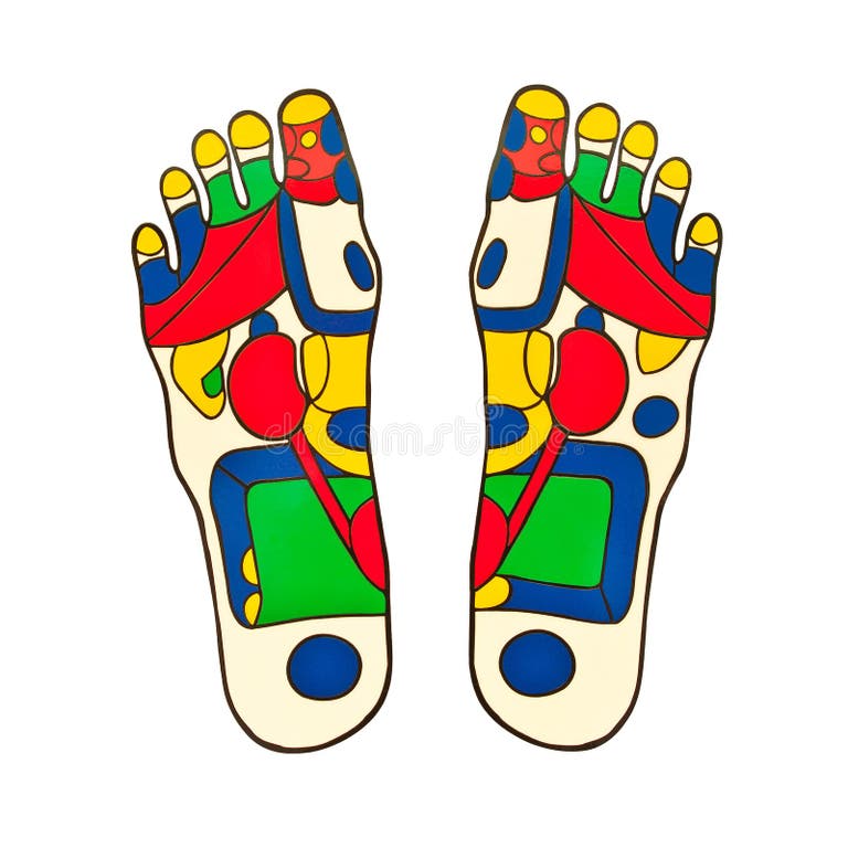 Body Map Massage Practice Stock Photos - Free & Royalty-Free Stock ...