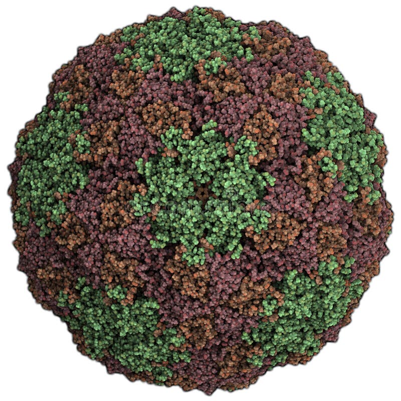 Foot-and-mouth Disease Virus (FMDV) Stock Photo - Illustration of foot ...