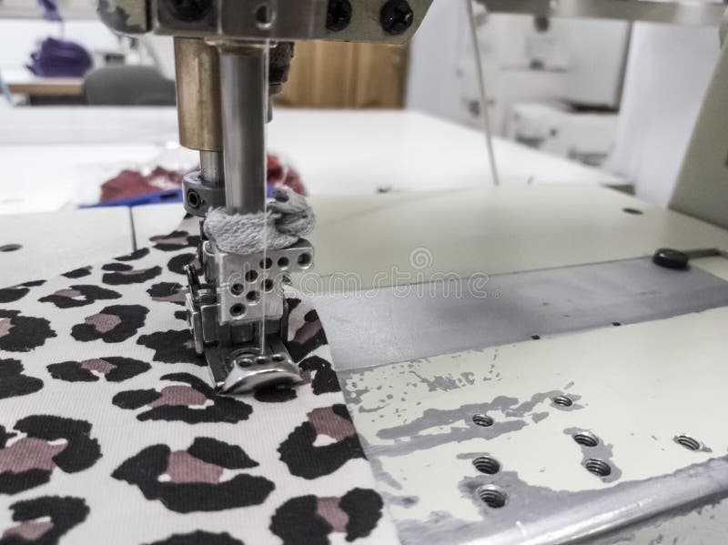 Foot and Needle of Industrial Straight-line Sewing Machine in Operation ...