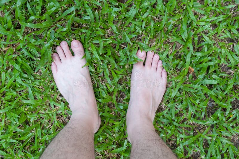 Top View of Grass. Textures and Backgrounds Stock Photo - Image of grow ...