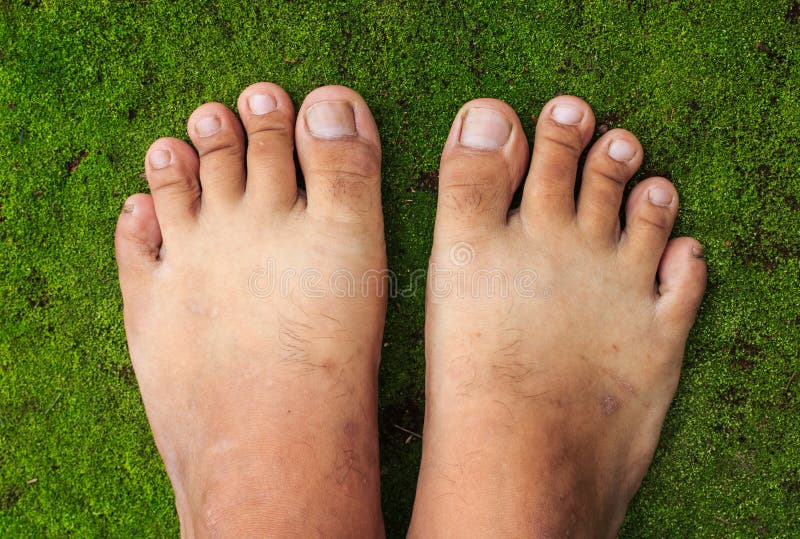 272 Barefoot Moss Stock Photos - Free & Royalty-Free Stock Photos from ...