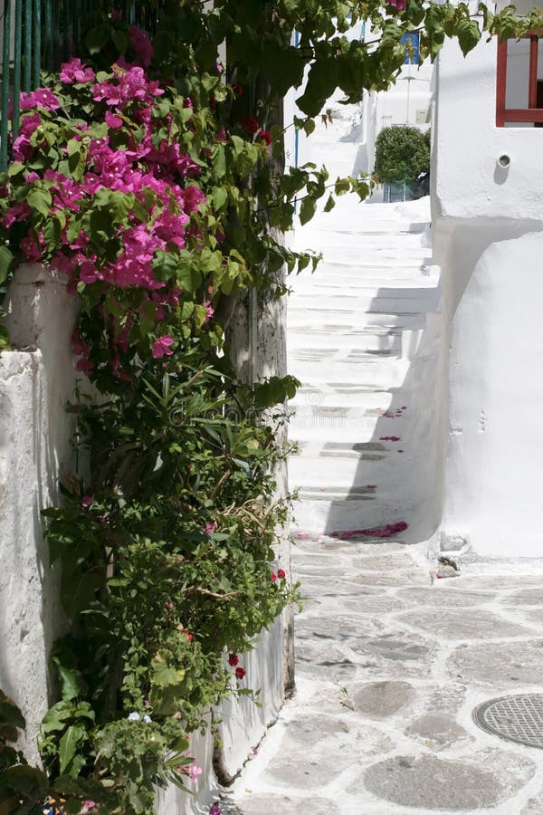 Foot path stock image. Image of lane, boulevard, alley - 8431969