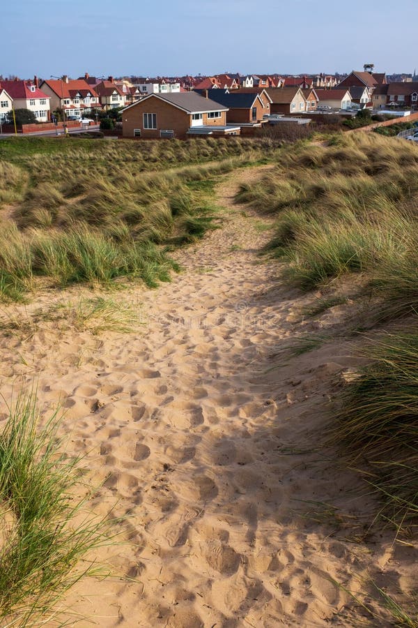 Foot Path through the Dunes Stock Photo - Image of growth, britain ...