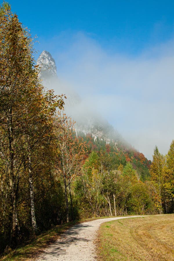 A Foot Path through a Forest in Bavarian Alps Stock Photo - Image of ...