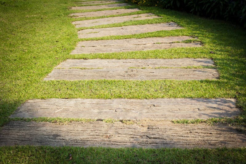 Foot path in garden. stock photo. Image of field, spring - 37894340