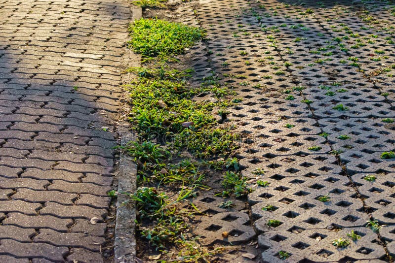 Foot path with grass stock image. Image of garden, foot - 109930527