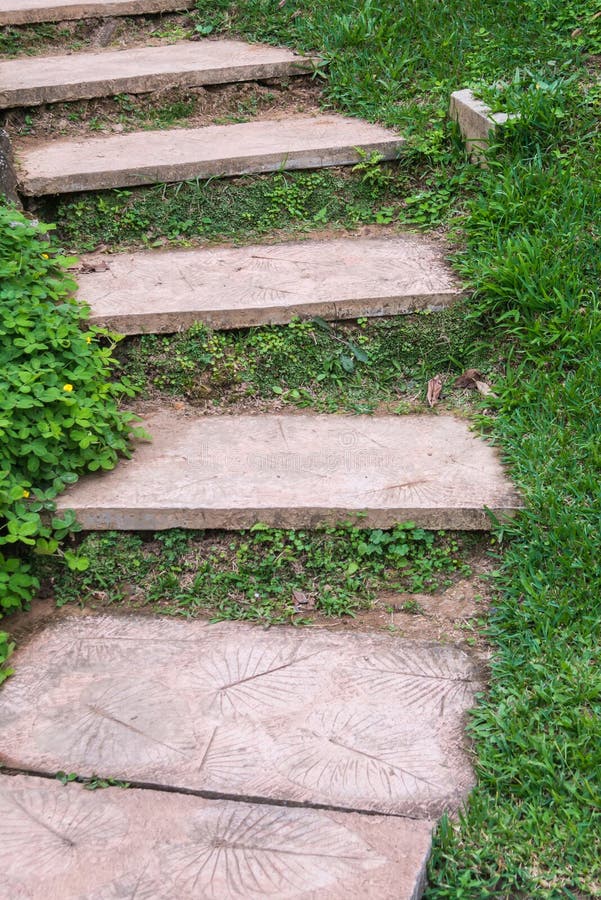 Foot Path with Grass in Garden Stock Photo - Image of sidewalk, pathway ...