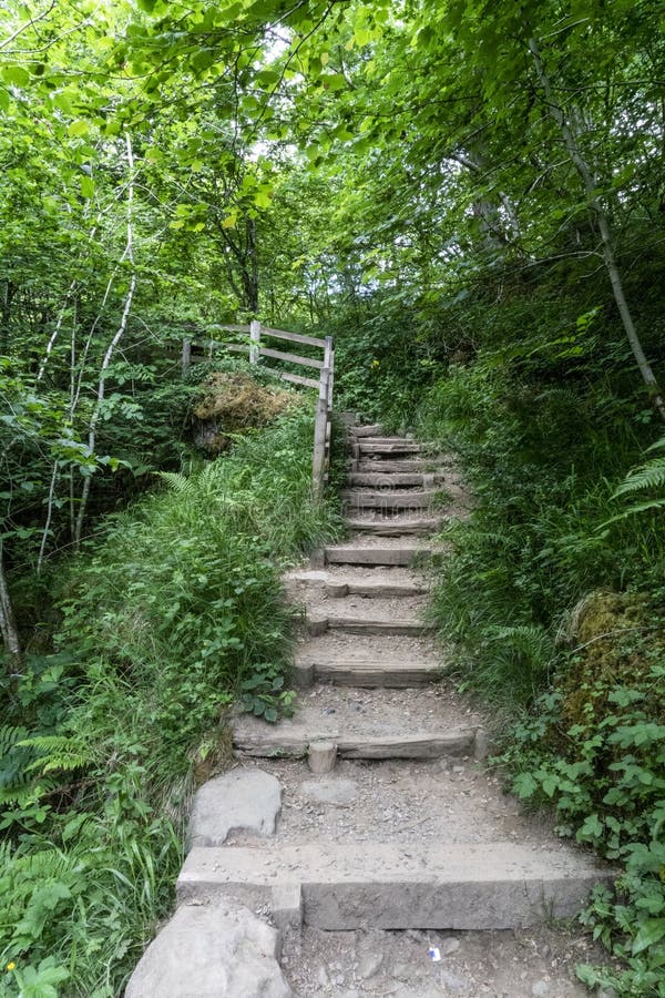 Foot Path at Ingleton Waterfalls Trail in UK Stock Photo - Image of ...