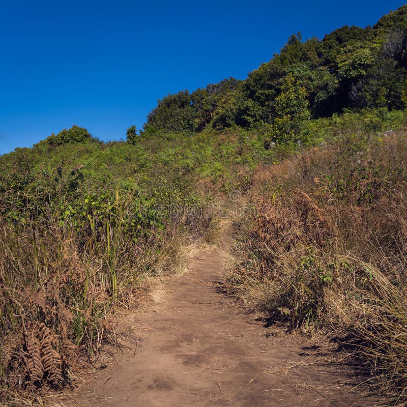 Foot path on mountain stock image. Image of path, summer - 50587951