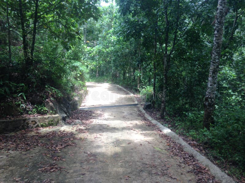 A Foot Path in rural area stock photo. Image of beautiful - 201958866