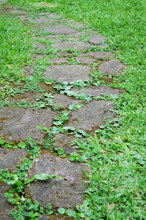 Foot Path stock photo. Image of sidewalk, pattern, rural - 49922834