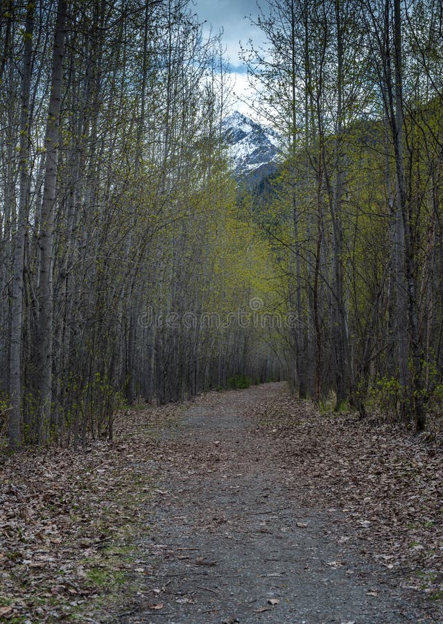 Foot Path into the Springtime Mountains Stock Image - Image of snow ...