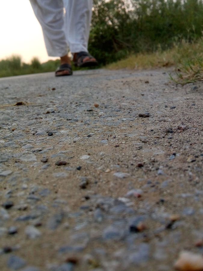 Foot path way road nature stock photo. Image of foot - 259355898