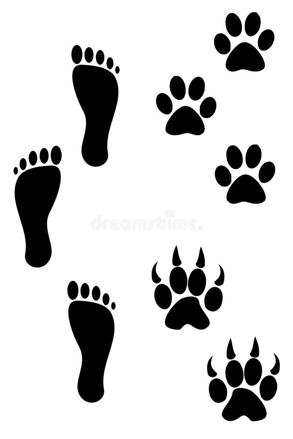 Foot and paw prints stock vector. Illustration of animal - 7924071