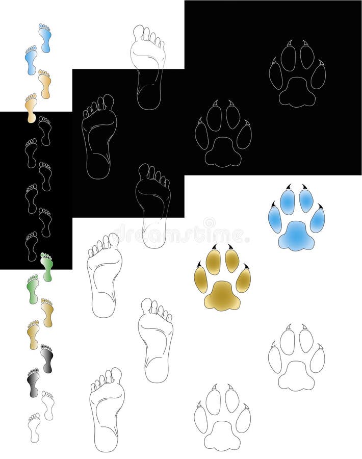 Foot stock vector. Illustration of symbols, steps, pets - 41061082