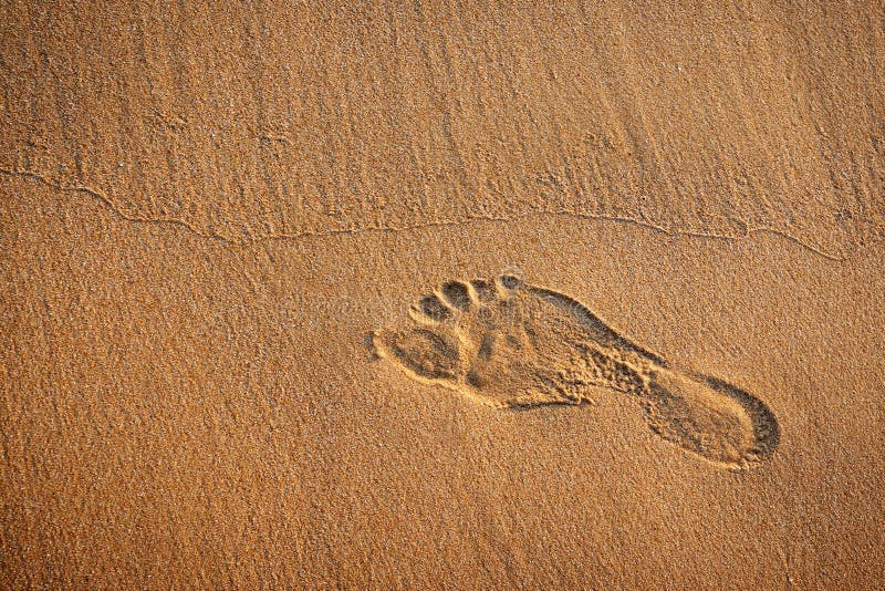 Footprints in the Sand stock image. Image of footprint - 32966465