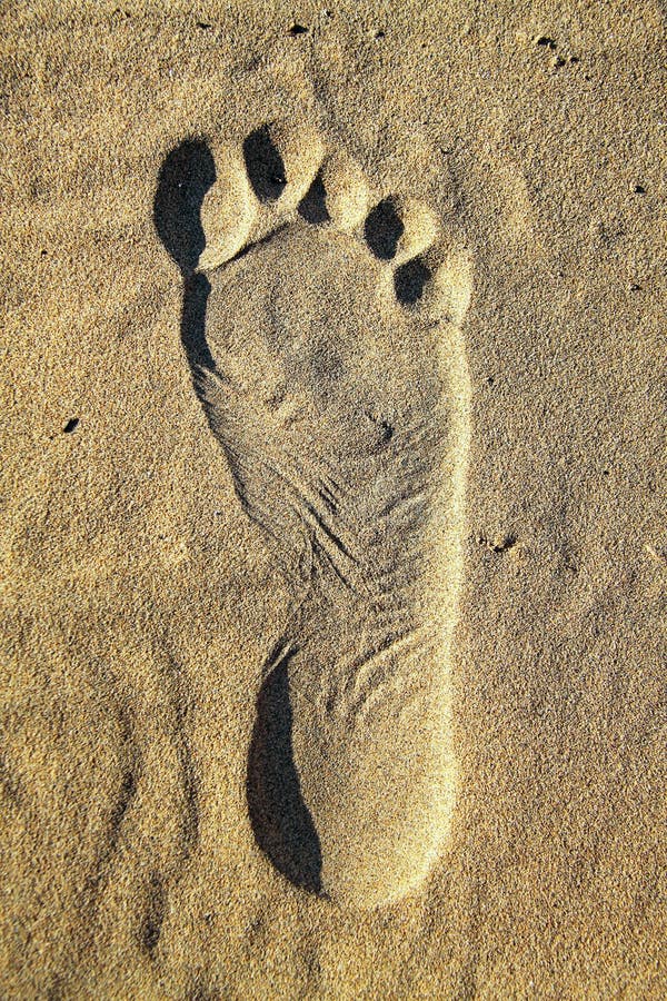 Foot print stock photo. Image of beach, footprint, foot - 10683862