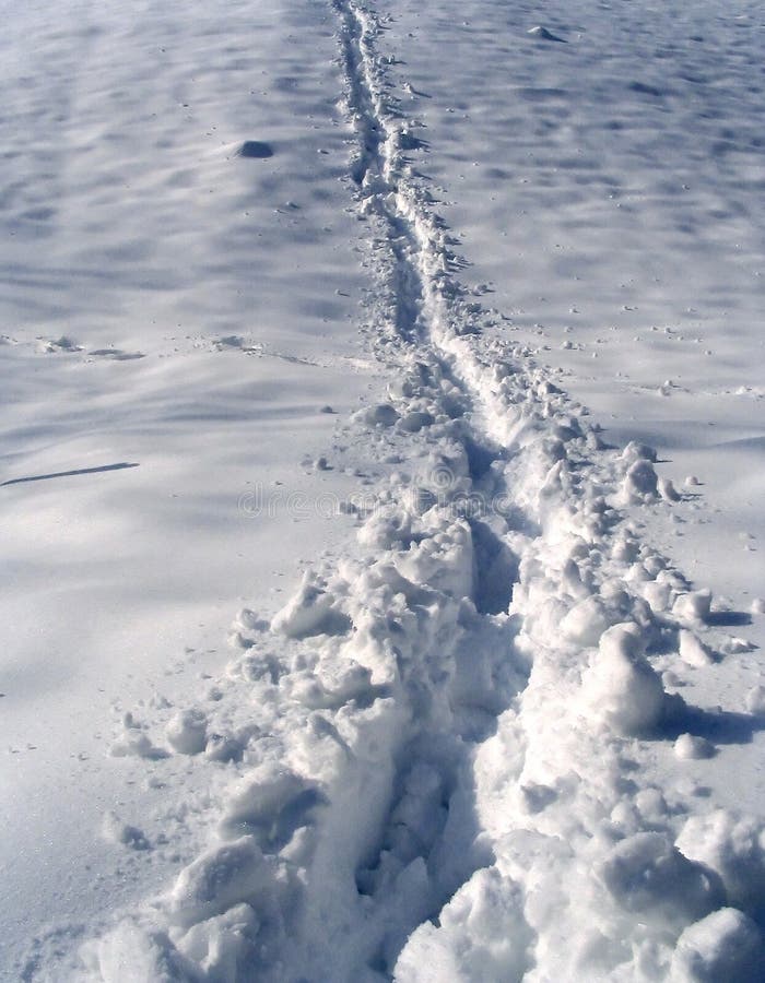 Foot-print stock photo. Image of road, forests, snow, froozenslide - 195160