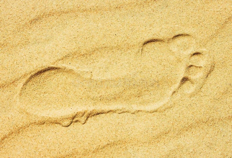 Foot print stock image. Image of prints, dune, relax, resort - 2180417