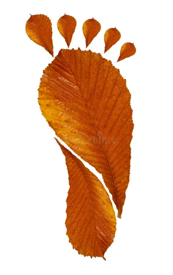 Foot Print stock photo. Image of ecology, carbon, white - 28825074