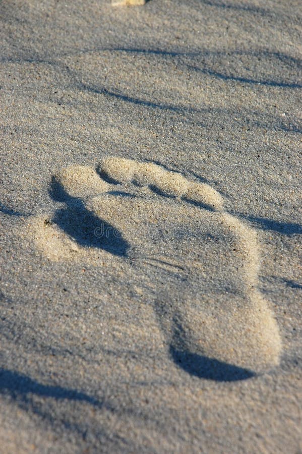 Print a foot stock image. Image of sands, footsteps, tropical - 1690809